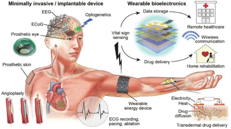 Master in Biomedical Devices at Delft University of Technology ...